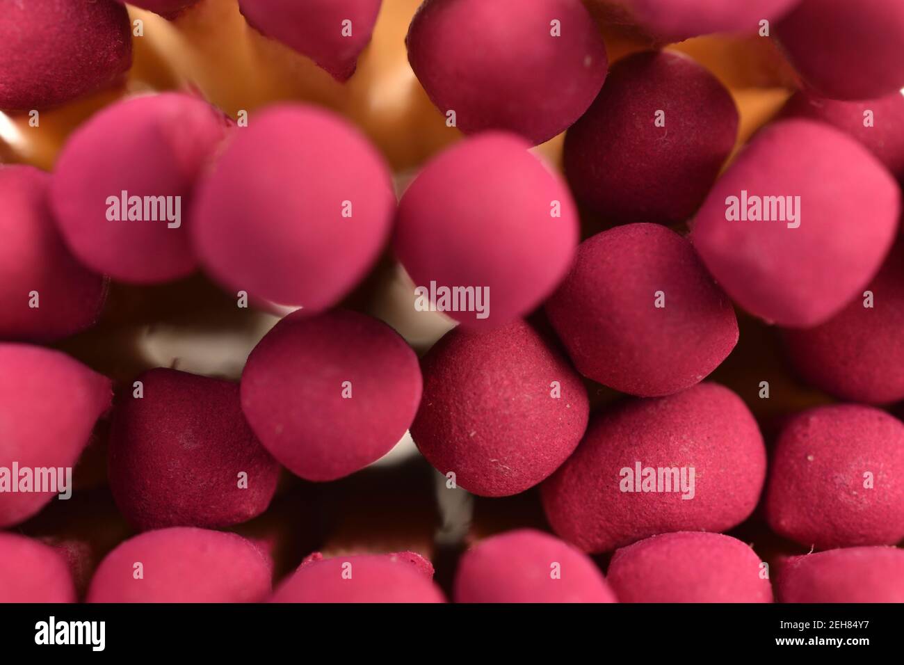 Lucifer matches hi-res stock photography and images - Alamy