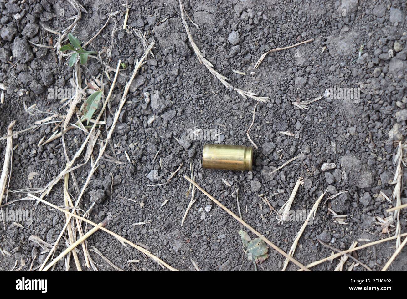 shells on the ground, shot cartridges Stock Photo - Alamy