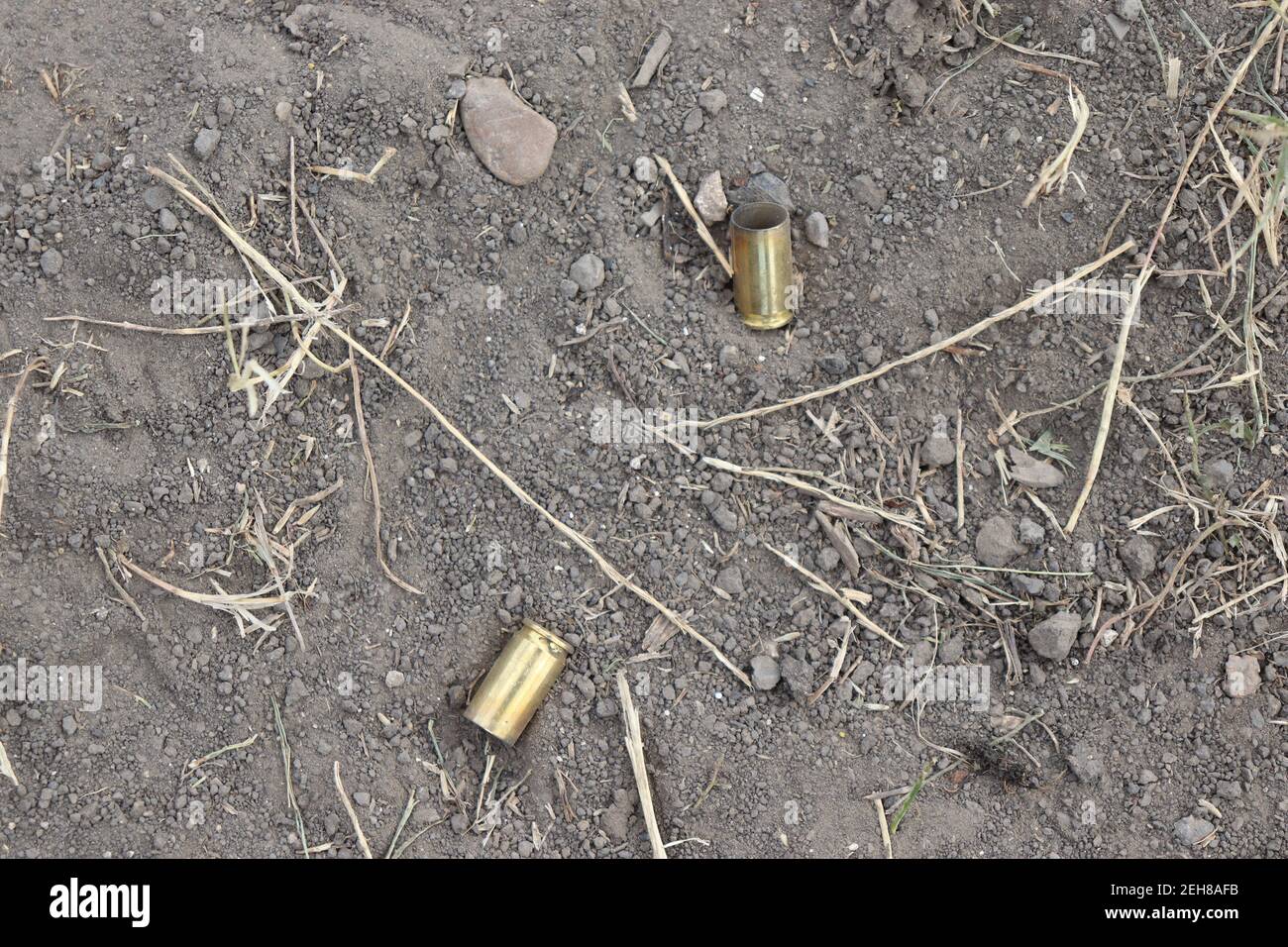 shells on the ground, shot cartridges Stock Photo - Alamy