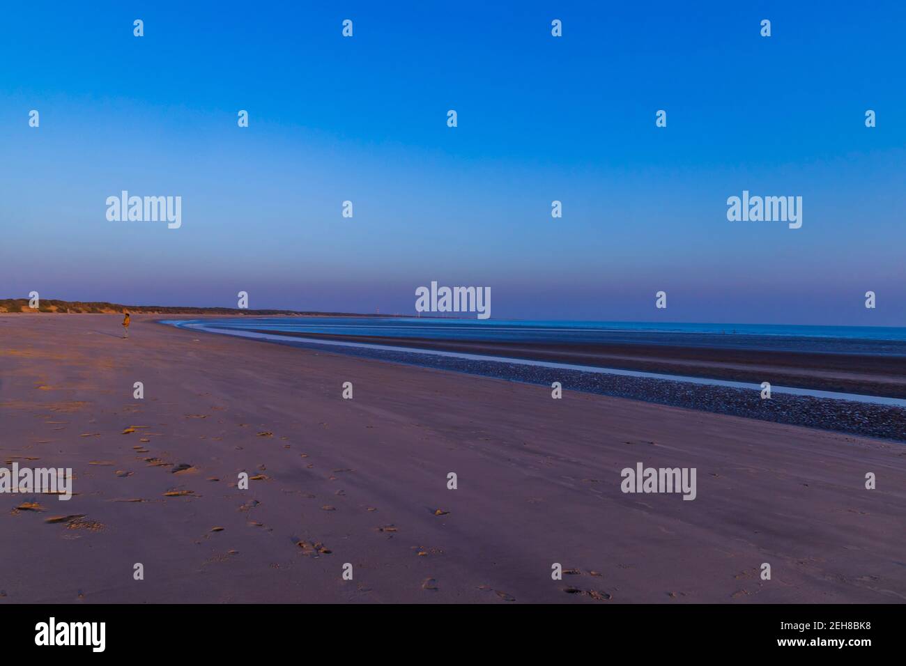 Mandvi beach, Kutch Stock Photo - Alamy