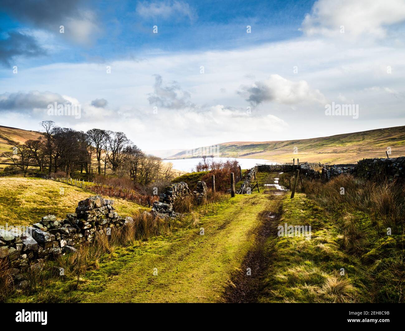 Old country tracks with dry stone walls. Yorkshire Dales Stock Photo ...