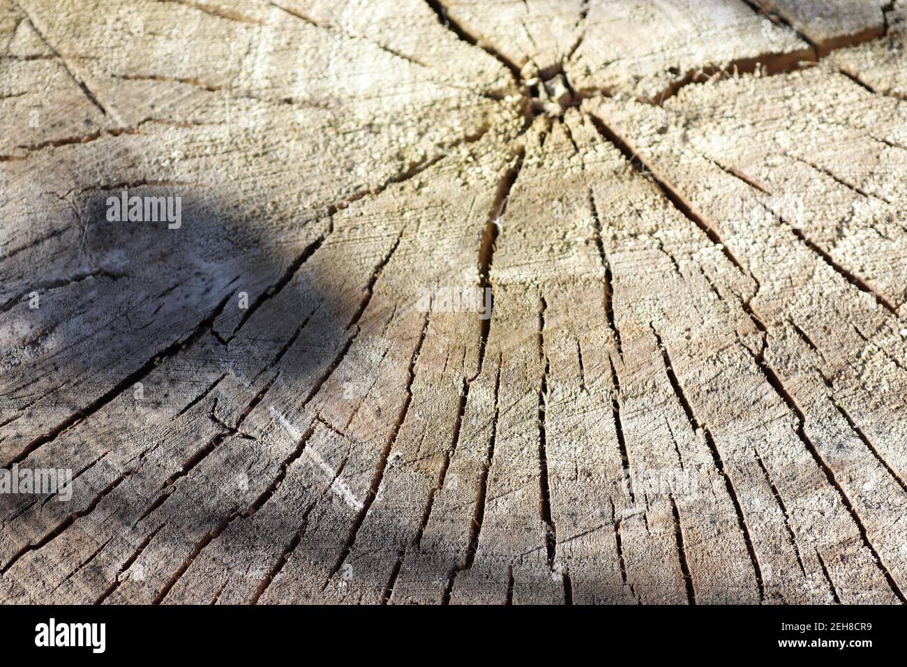 stone texture with yellow stripes Stock Photo - Alamy