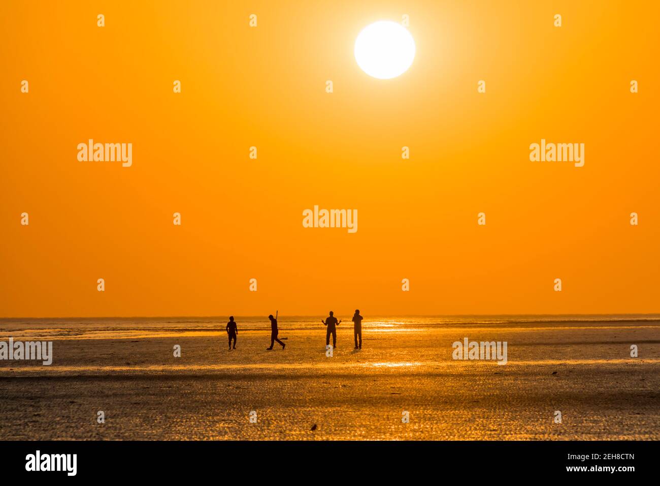 Mandvi beach, Kutch Stock Photo - Alamy