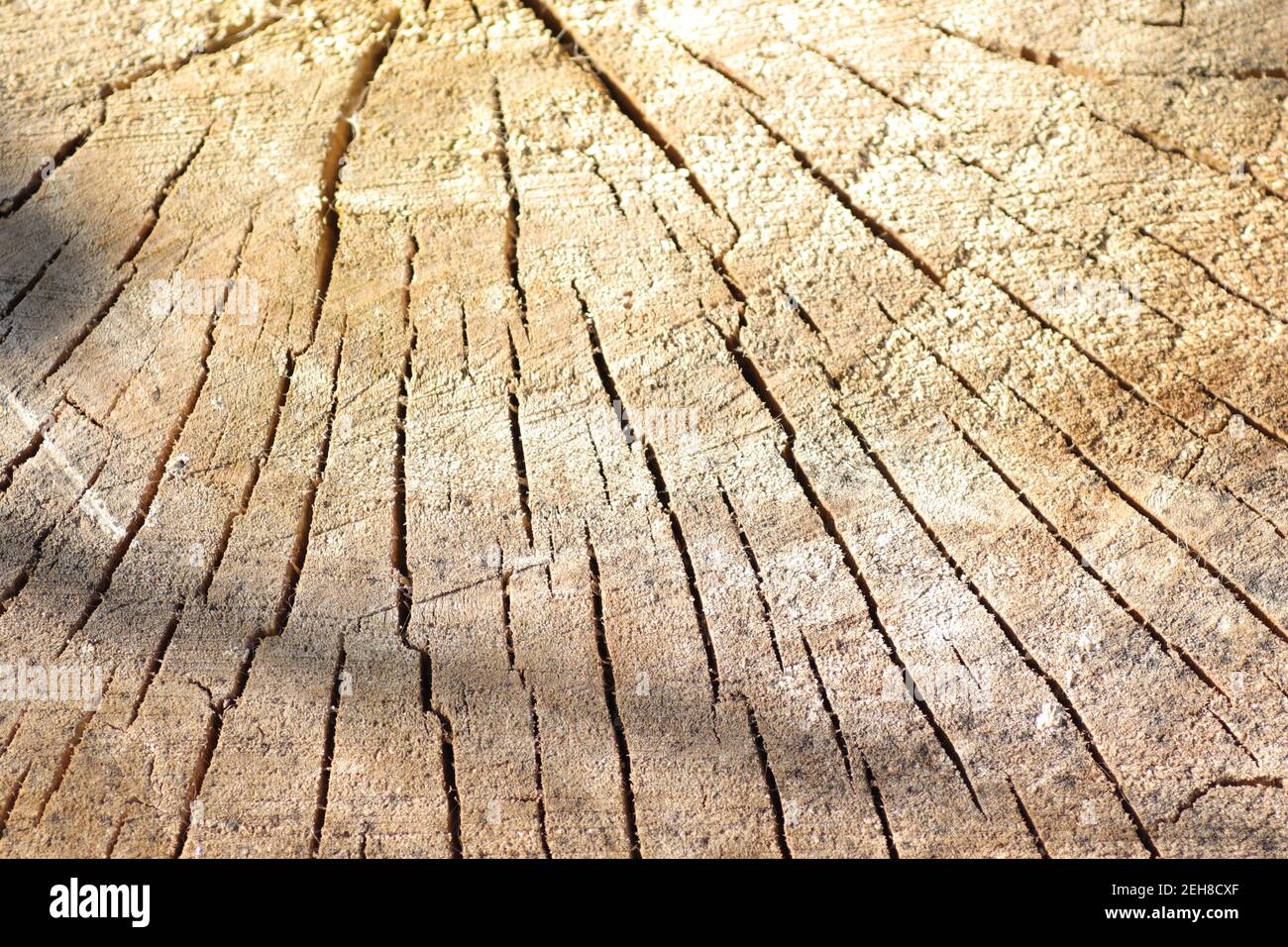 stone texture with yellow stripes Stock Photo - Alamy