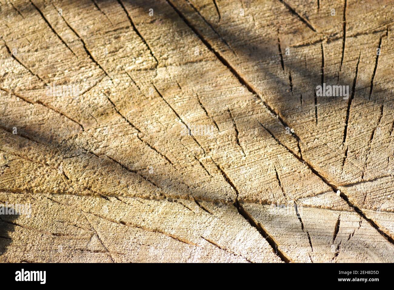 stone texture with yellow stripes Stock Photo - Alamy