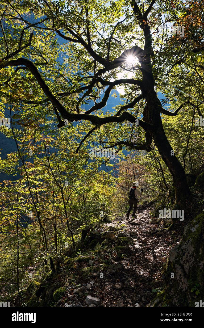 Epirus trail hi-res stock photography and images - Alamy