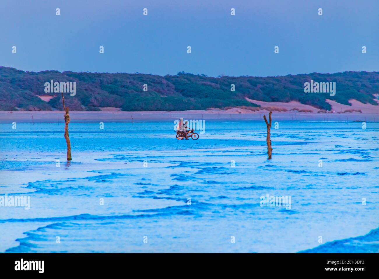Kutch mandvi gujarat hi-res stock photography and images - Alamy