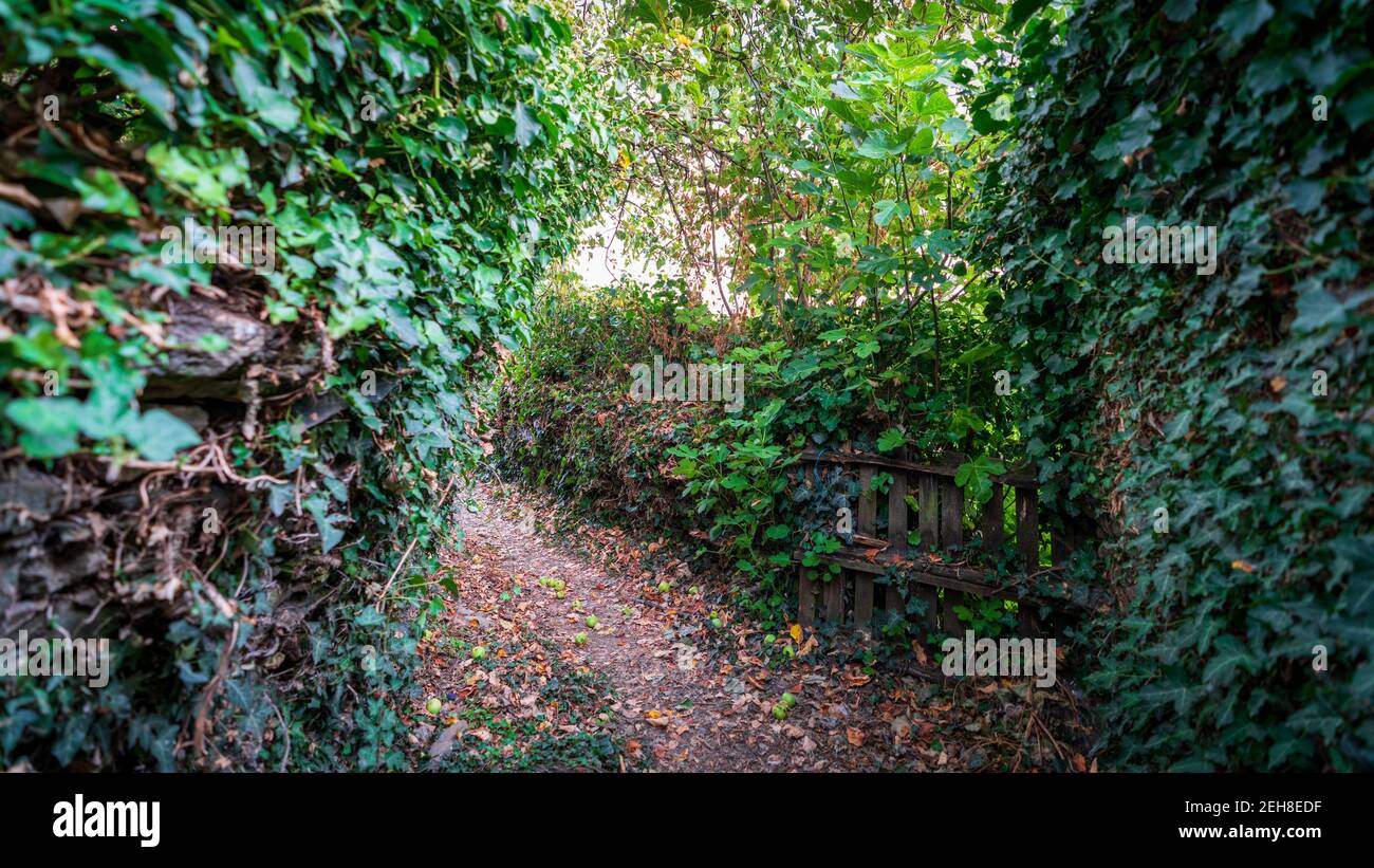 Mysterious light at the end of the shallow track Stock Photo - Alamy