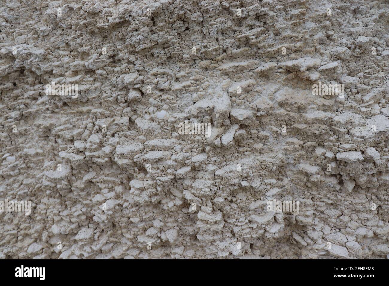 texture of rock white from shells Stock Photo - Alamy