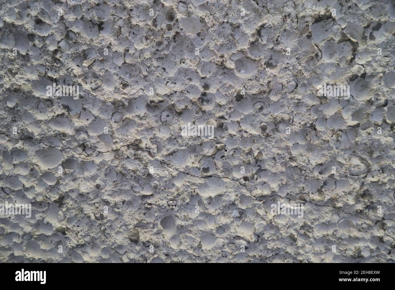 texture of rock white from shells Stock Photo - Alamy
