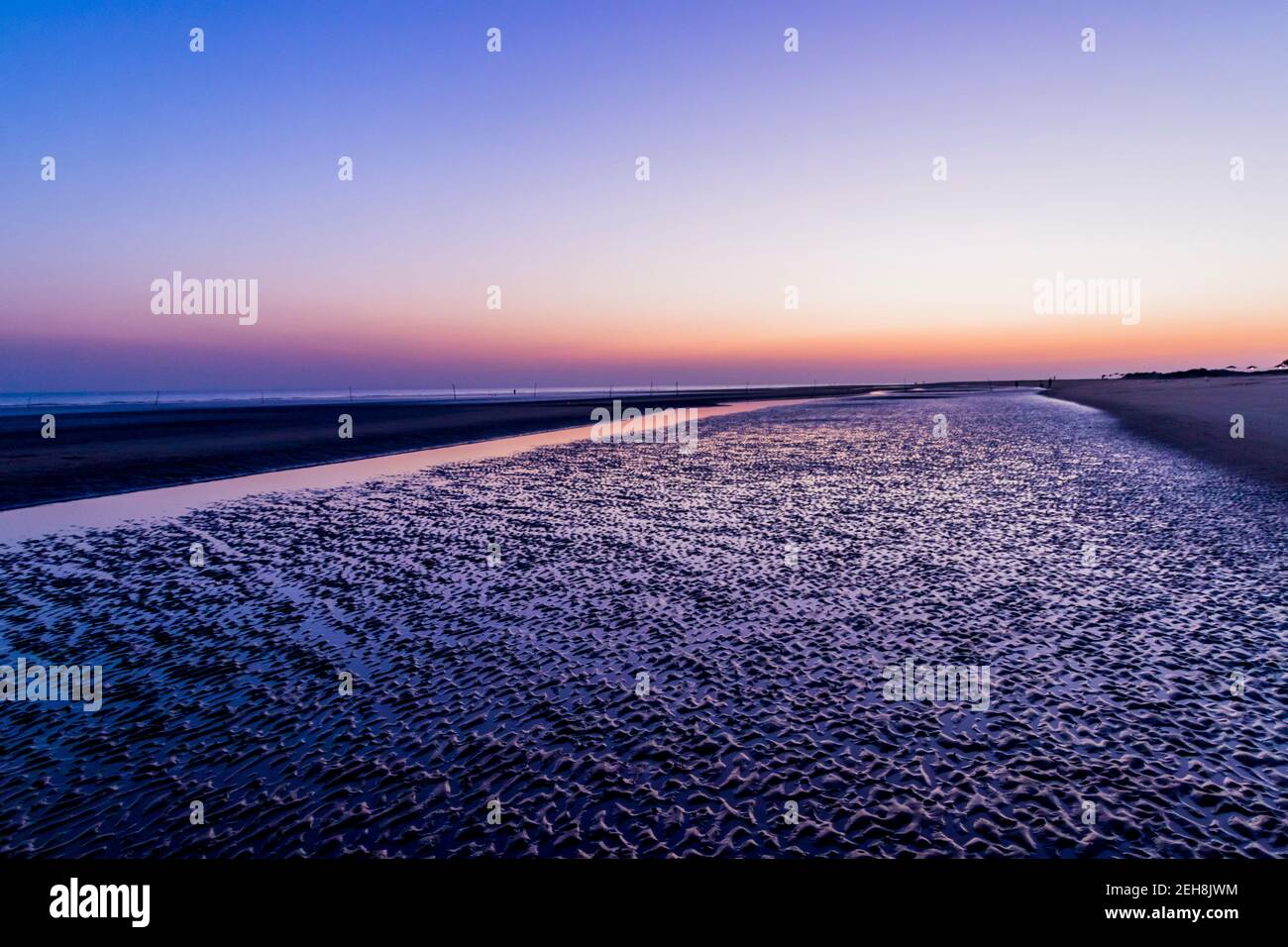 Mandvi beach, Kutch Stock Photo - Alamy