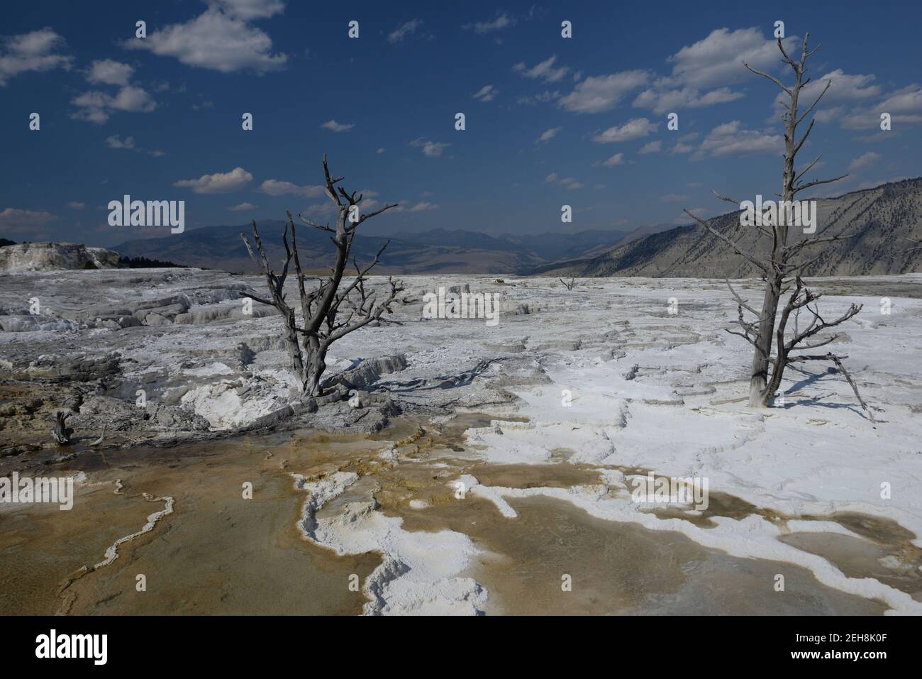Yellowstone geothermal pools hi-res stock photography and images - Alamy