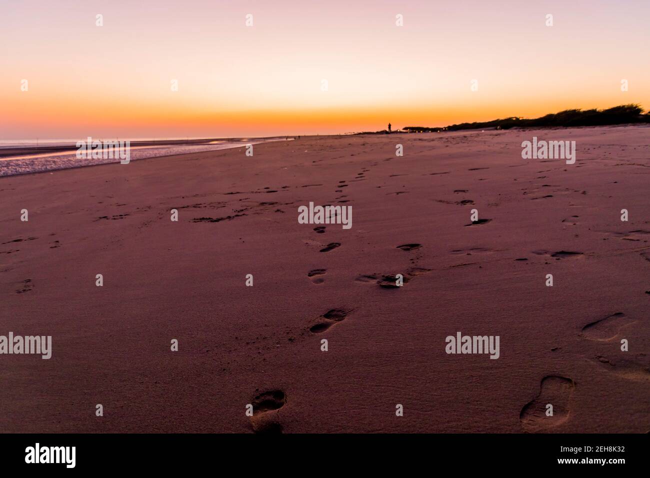Mandvi beach, Kutch Stock Photo - Alamy