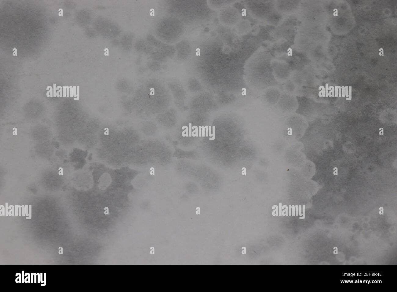 white paper surface with gray water stains, paper texture with water ...