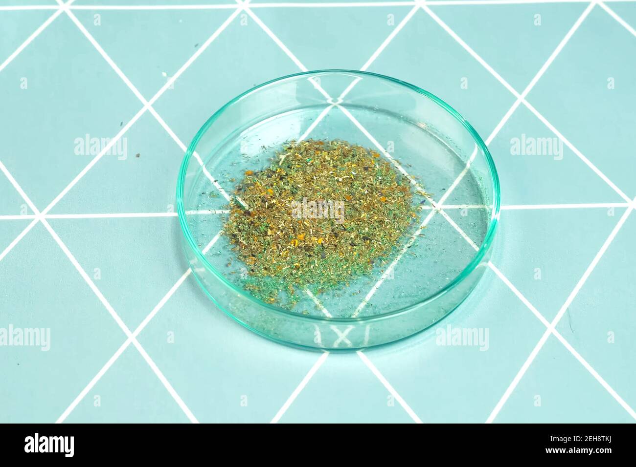 Gold memory contacts hi-res stock photography and images - Alamy