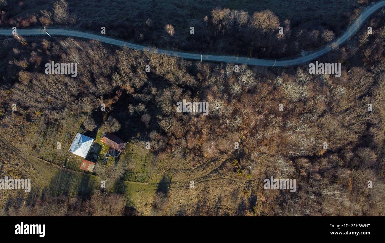 Aerial shot of a forest with dense trees, a road and a small building ...