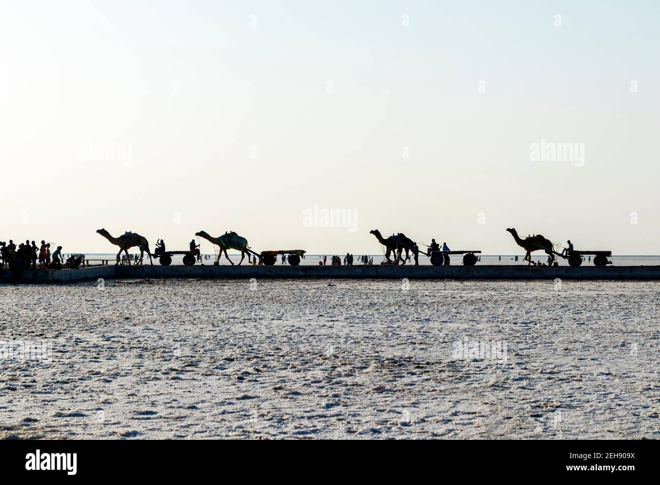 People in the White Rann Stock Photo - Alamy