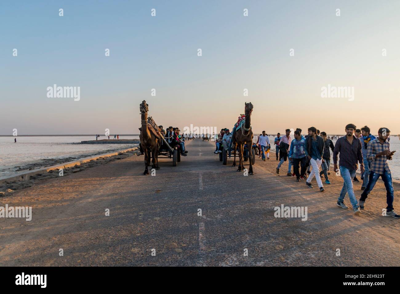 Great rann of kutch hi-res stock photography and images - Alamy
