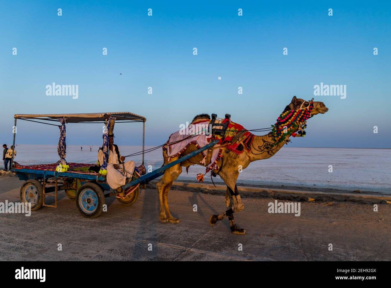 Great rann of kutch hi-res stock photography and images - Alamy