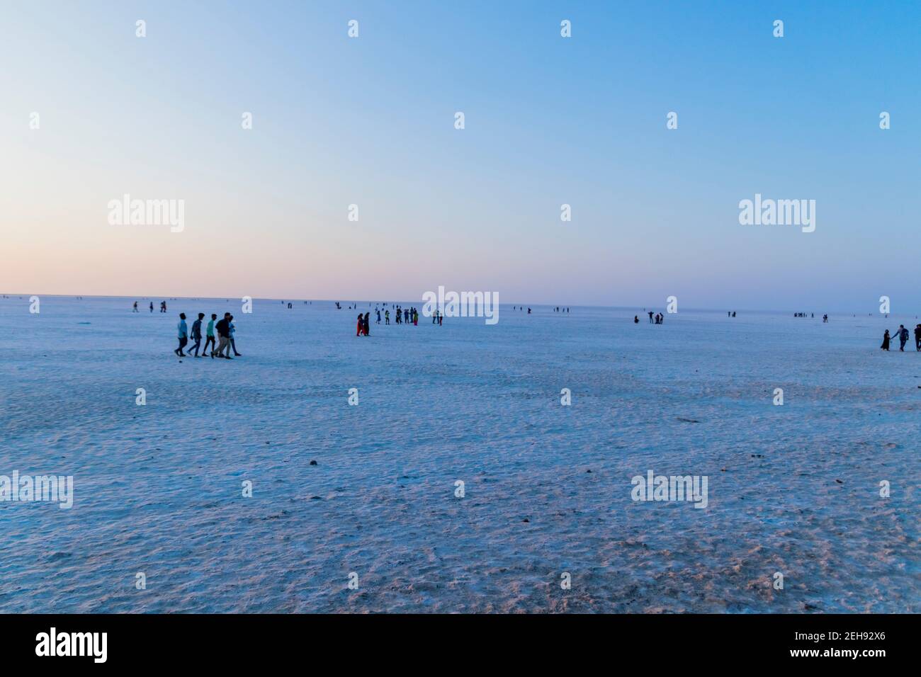 Rann of kutch salt camel hi-res stock photography and images - Alamy