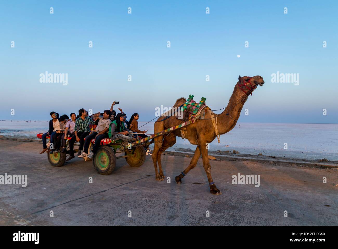 Rann utsav festival hi-res stock photography and images - Alamy