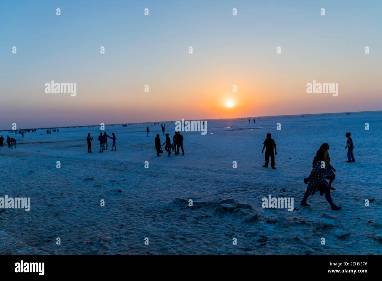 Rann of kutch salt camel hi-res stock photography and images - Alamy
