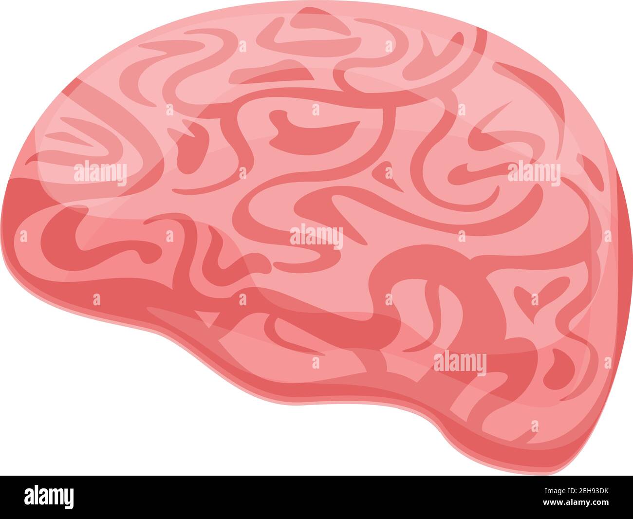 Human brain memory icon. Cartoon of human brain memory vector icon for ...