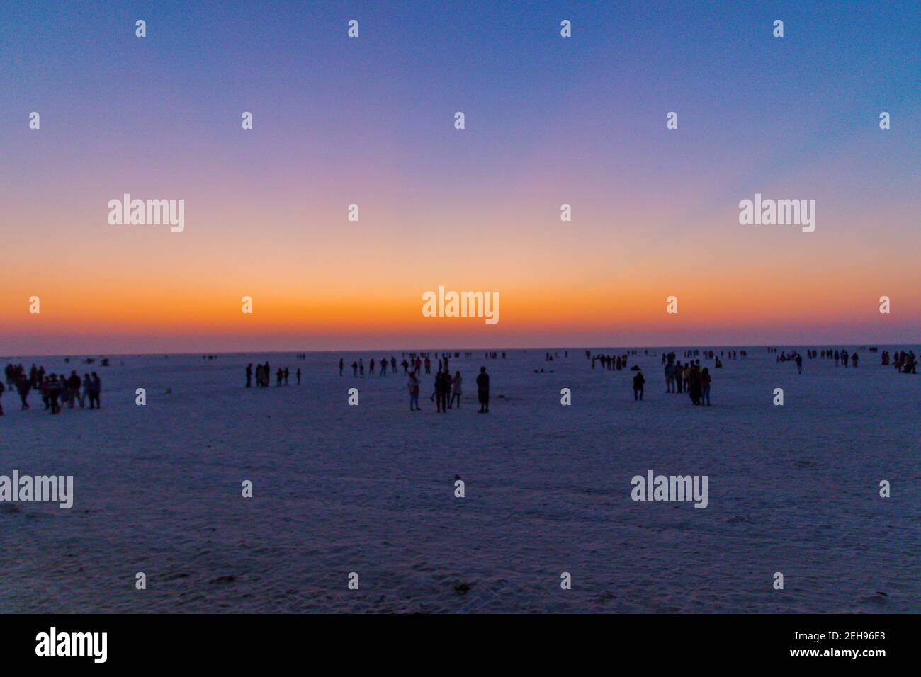 Rann utsav camel hi-res stock photography and images - Alamy