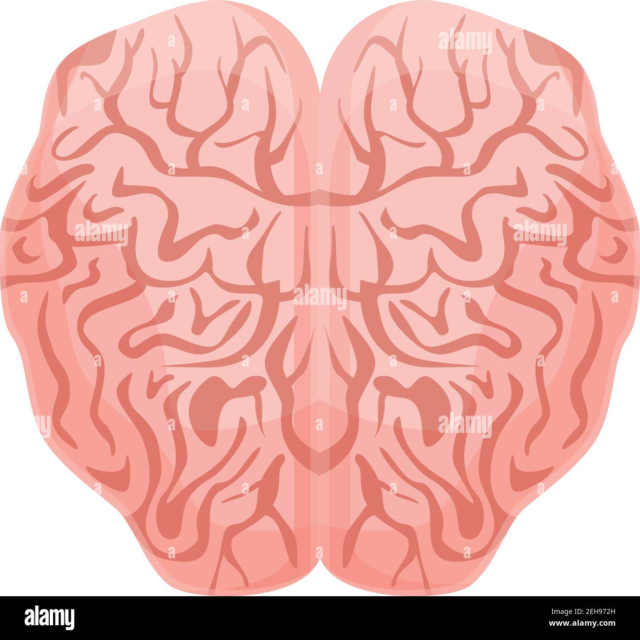 Human brain mind icon. Cartoon of human brain mind vector icon for web ...
