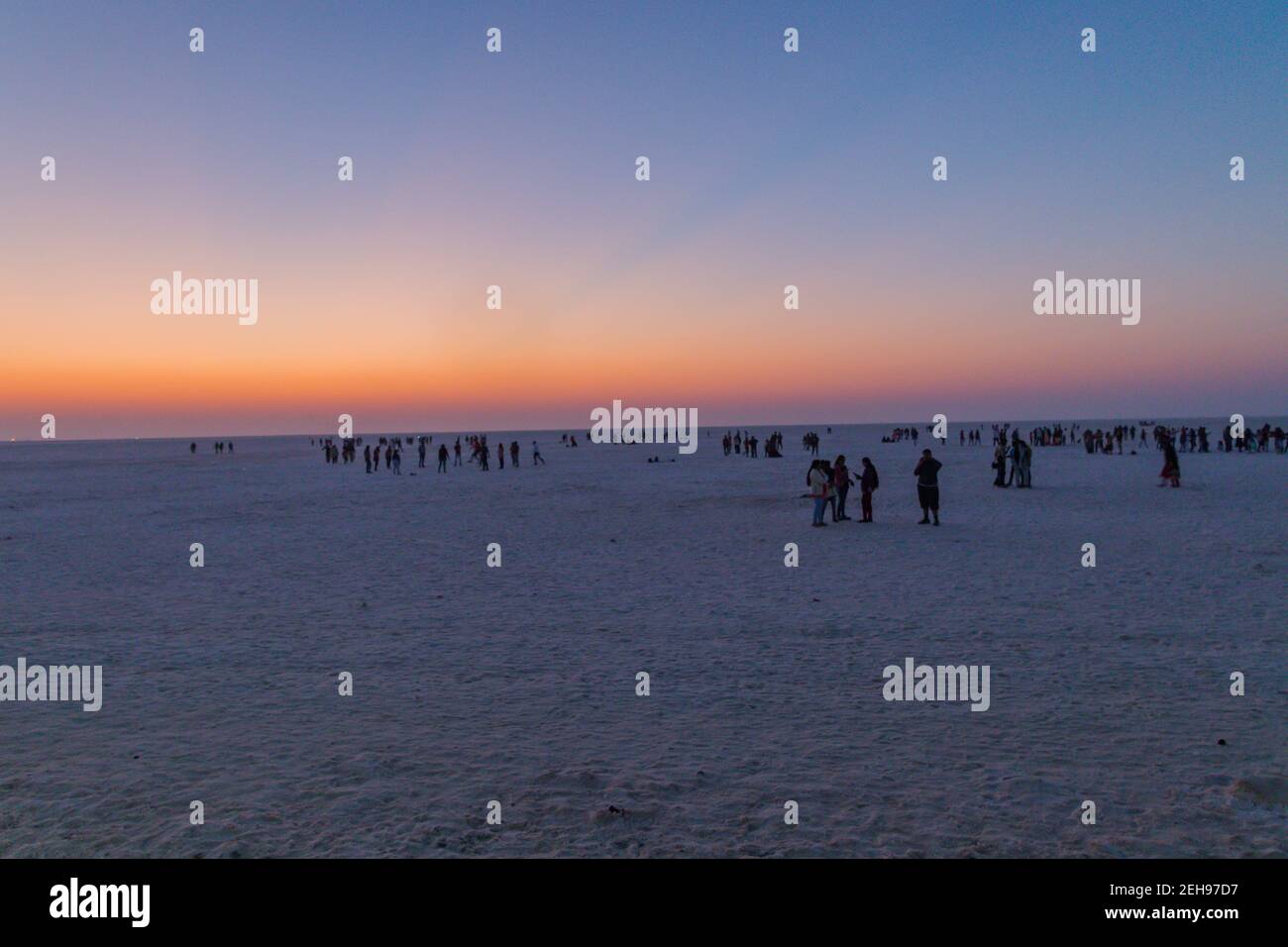 Rann utsav gujarat hi-res stock photography and images - Alamy