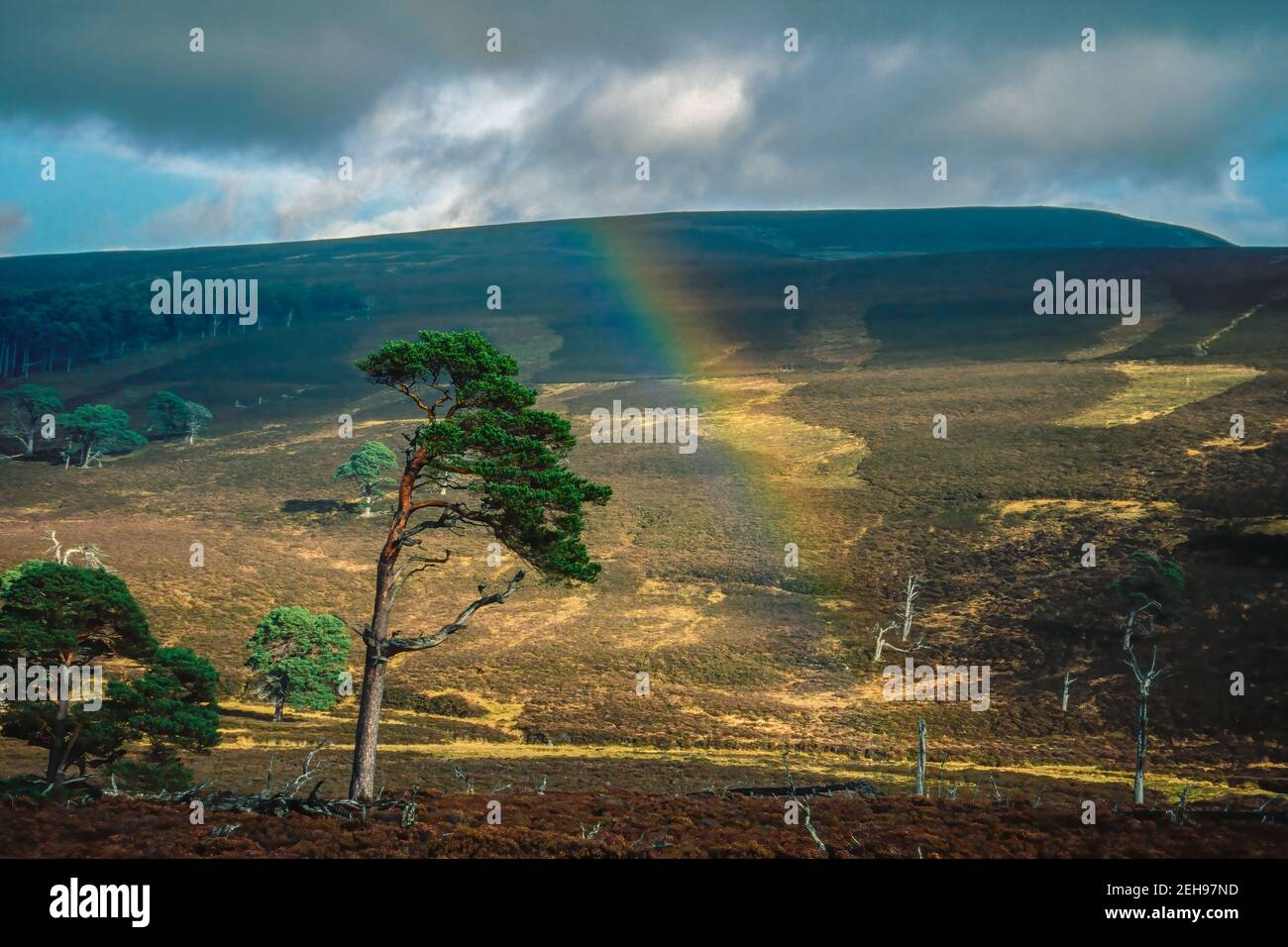 Quoich water autumn hi-res stock photography and images - Alamy