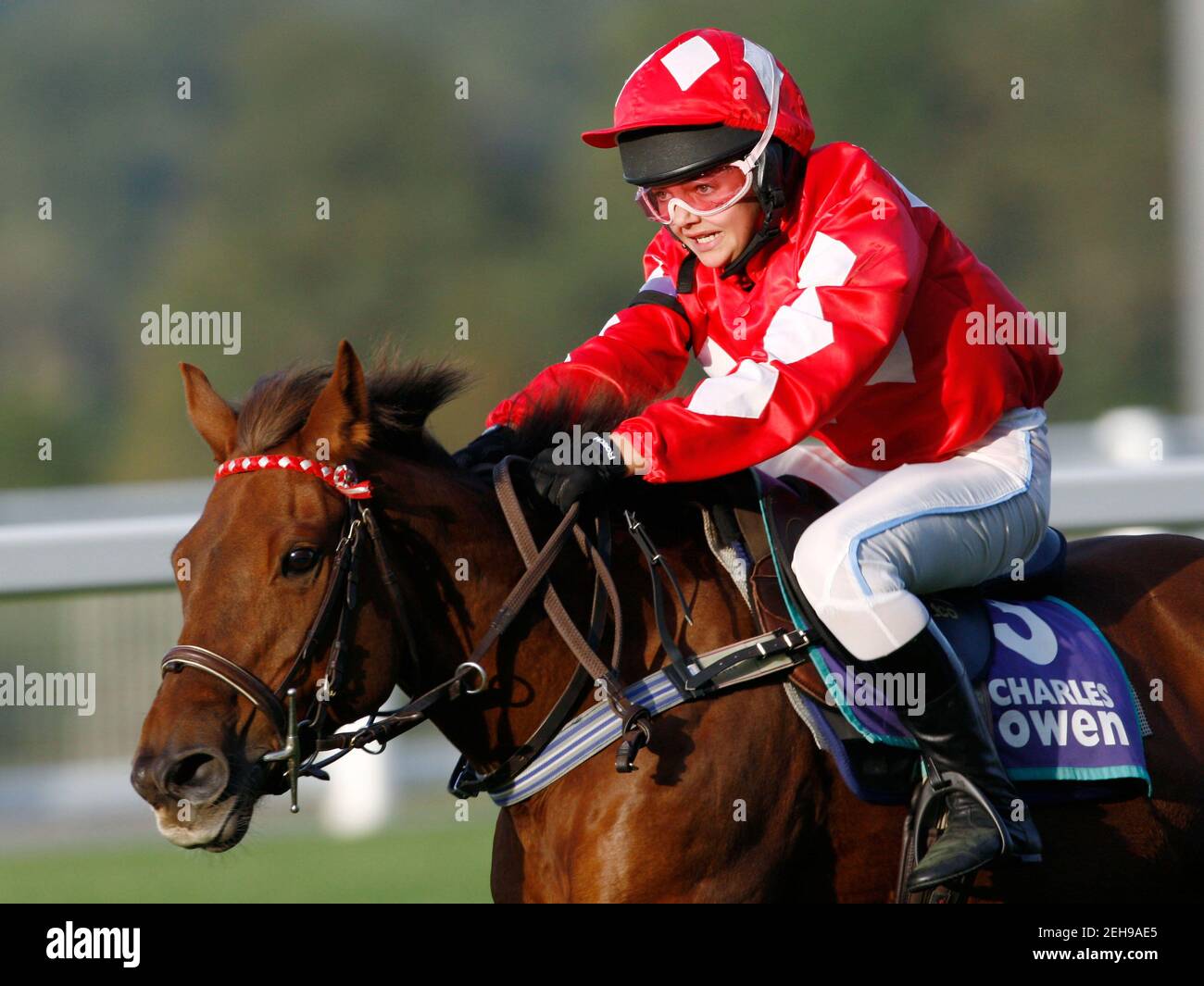 Paul nicholls megan nicholls High Resolution Stock Photography and Images - Alamy