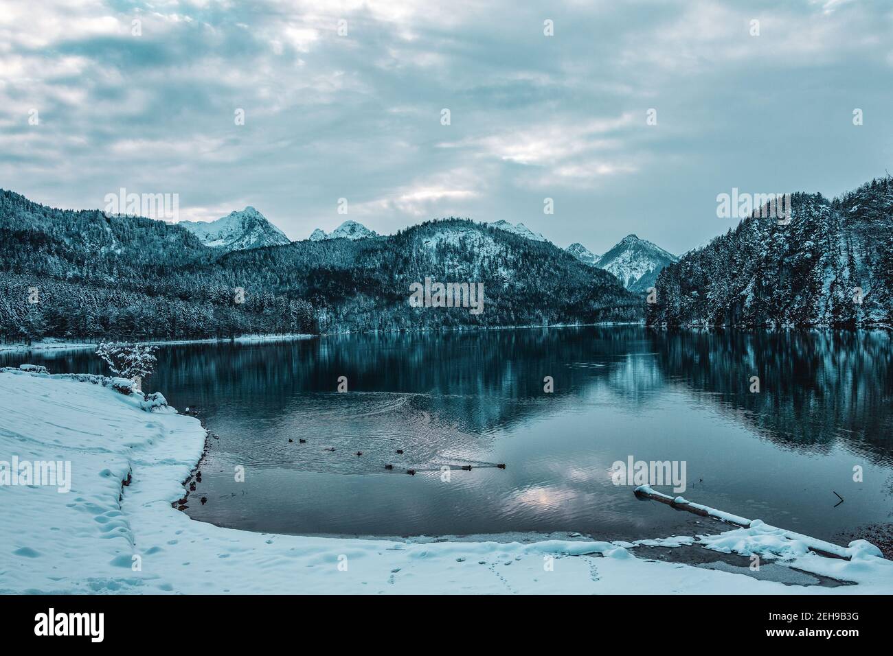 Füssen alpsee winter hi-res stock photography and images - Alamy