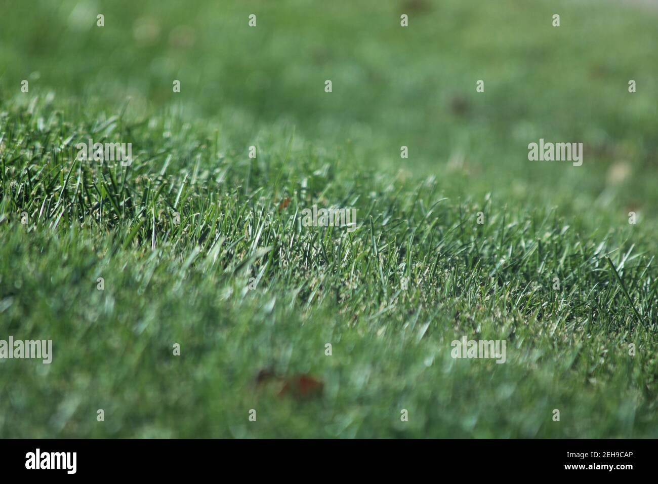 Summertime seasons hi-res stock photography and images - Alamy