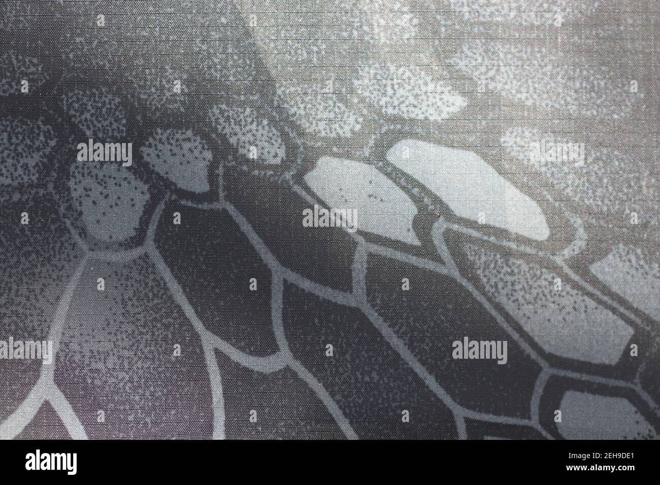 kryptek fabric texture, water repellent Stock Photo - Alamy