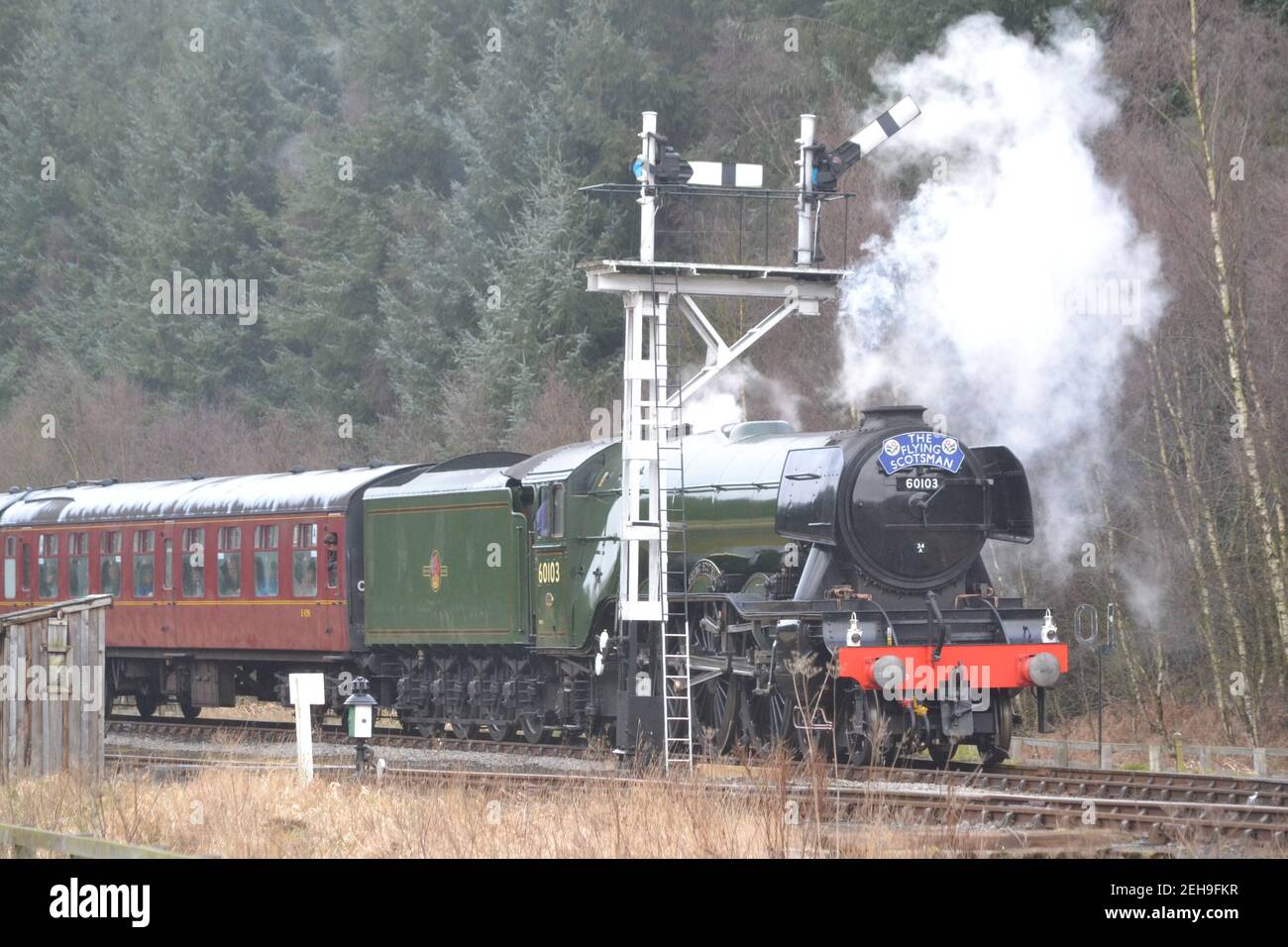 Flying Scotsman 60103 Steam Train - Levisham - Heritage Railway - Green ...