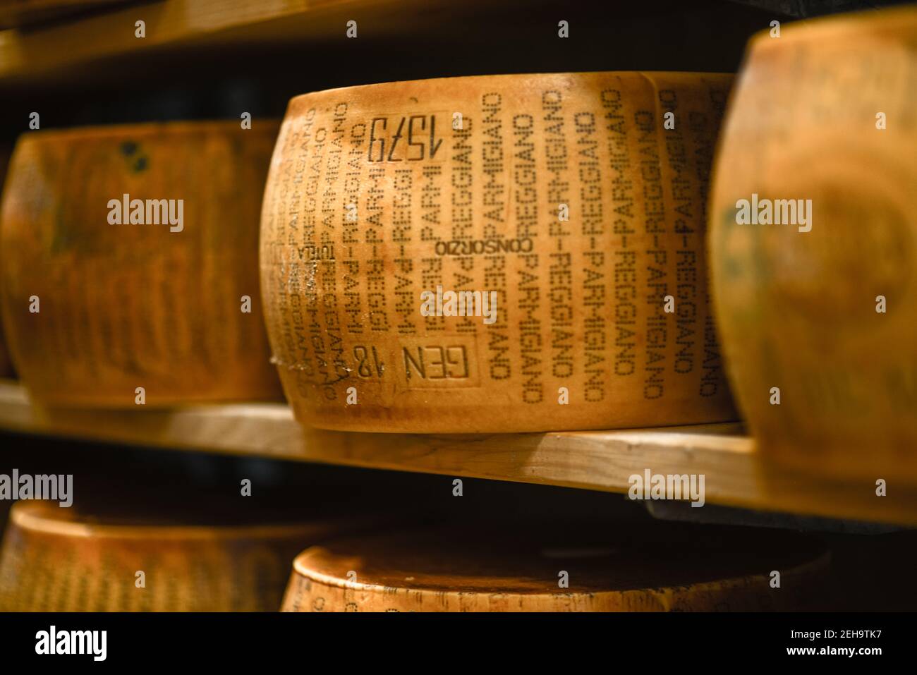mature parmesan wheel in dairy farm cheese factory storage Stock Photo ...