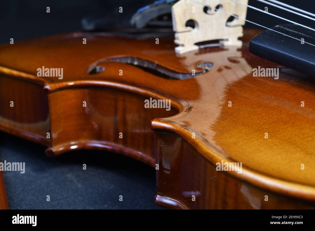 Full profile of beautiful violin on black background Stock Photo - Alamy