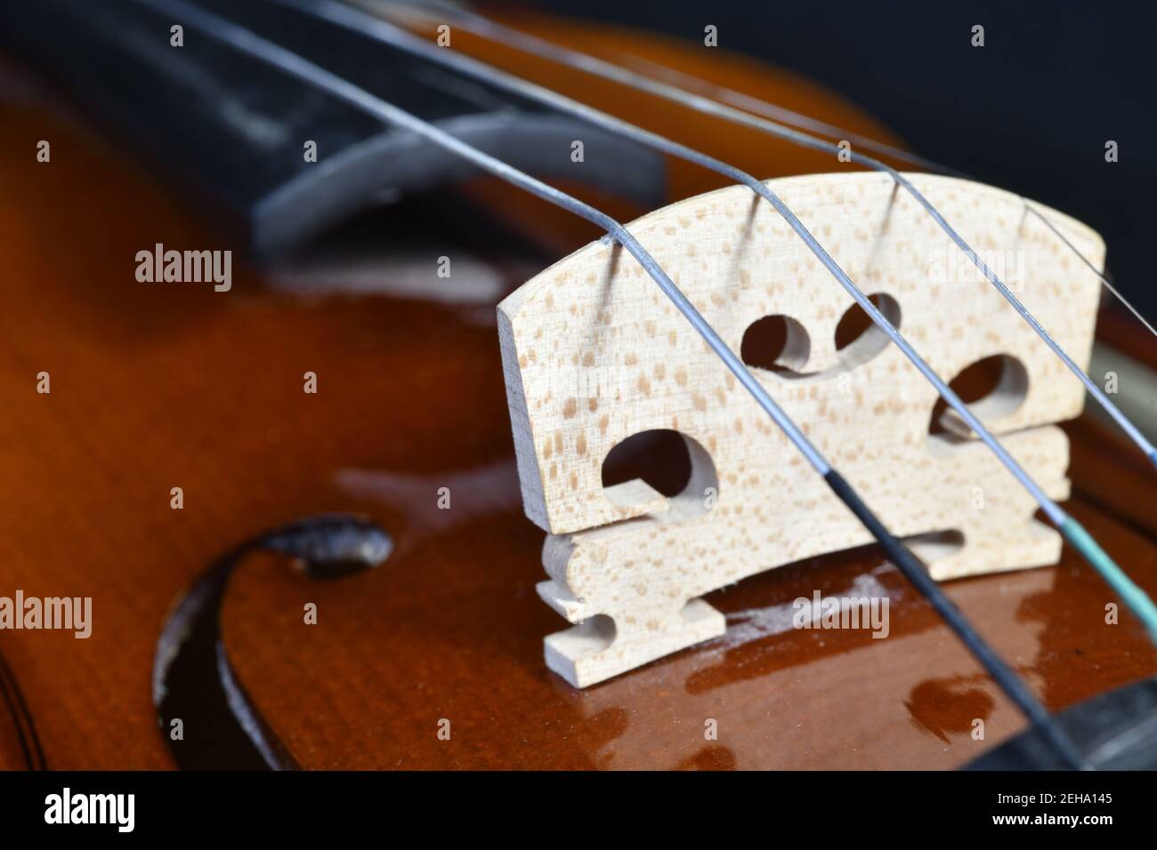 Full profile of beautiful violin on black background Stock Photo - Alamy