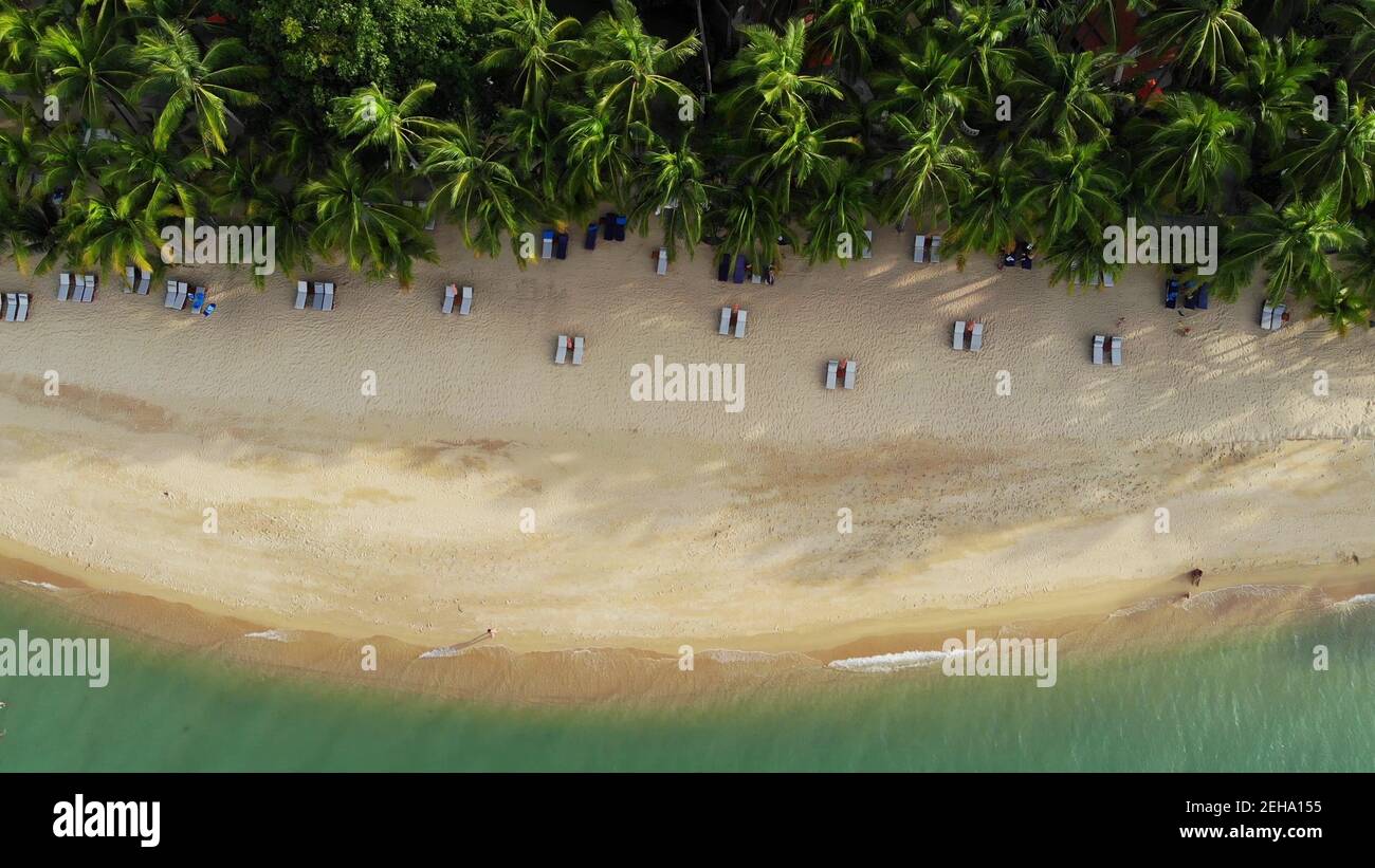 Blue lagoon and sandy beach with palms. Aerial view of blue lagoon and ...