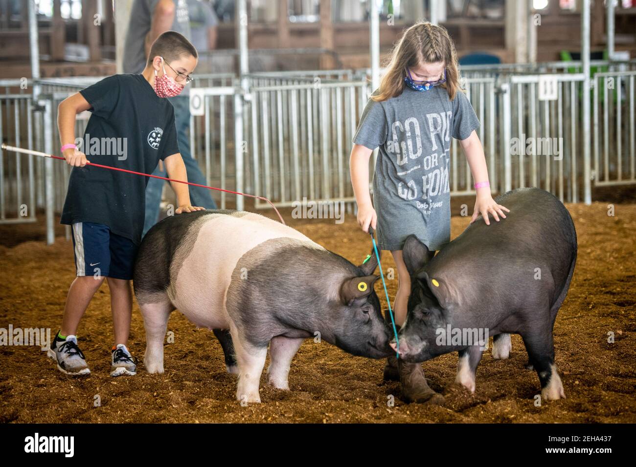 Children lead their pigs around the livestock ring at Maryland State ...