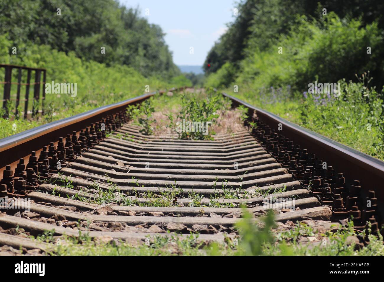 summer walk on abandoned railway tracks, old rusty tracks Stock Photo ...
