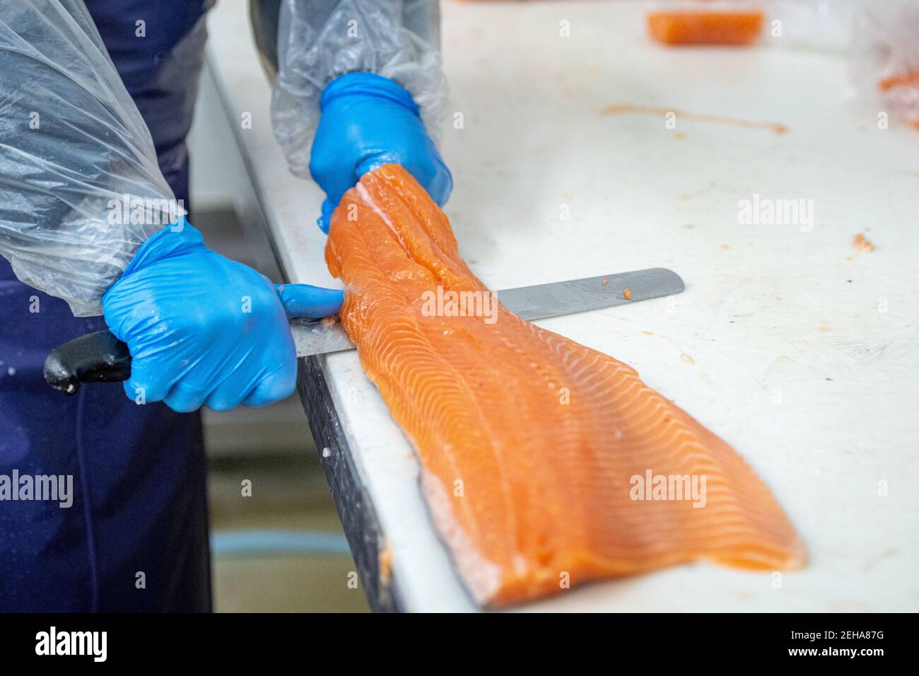 Worker cutting pieces of salmon at seafood packing plant, Jessup, MD ...