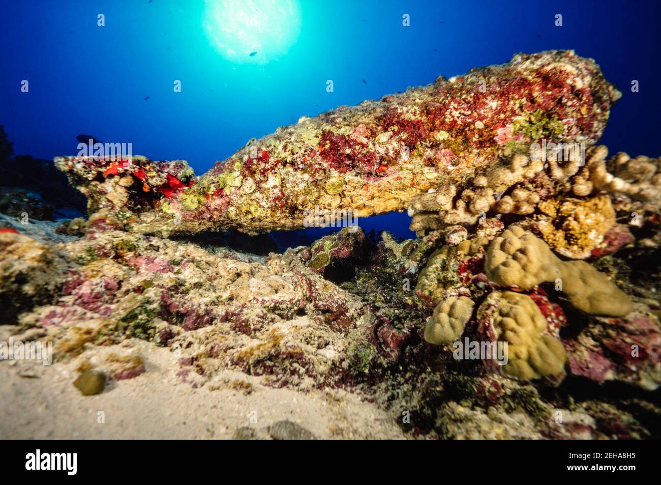Underwater Mines Coral Island
