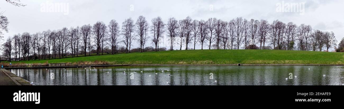 Trees in inverleith park hi-res stock photography and images - Alamy