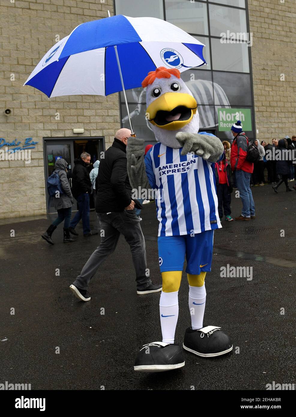 Brighton football club mascot hi-res stock photography and images - Alamy