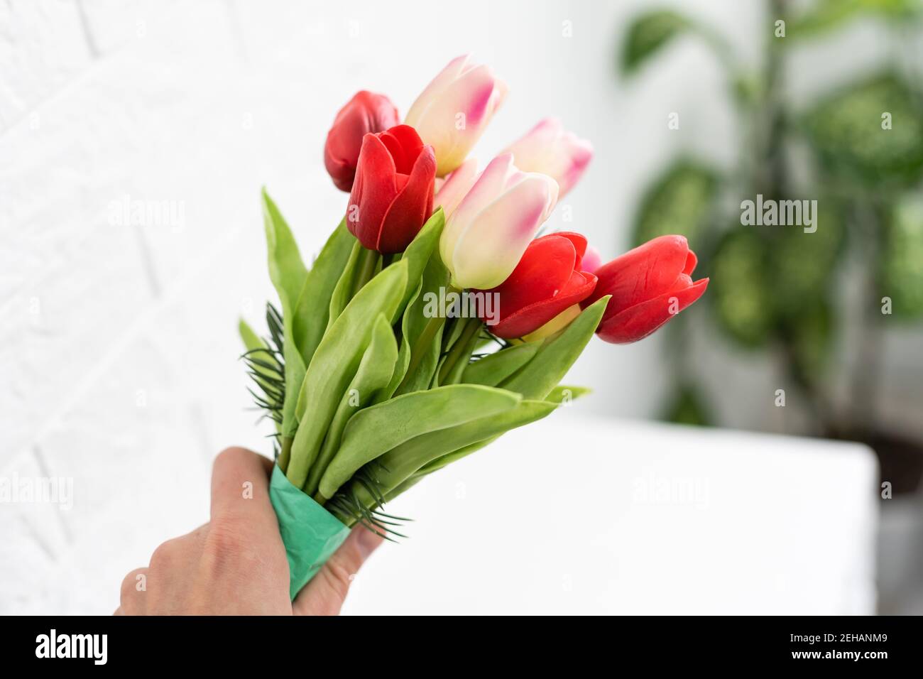 bunch of tulips isolated on white background Stock Photo - Alamy