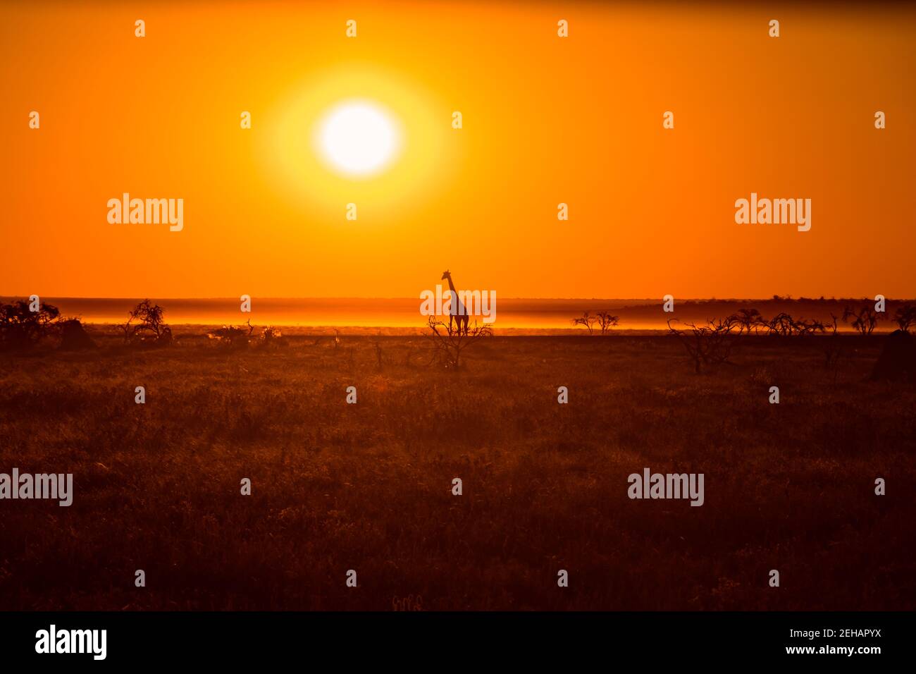 Big sky sunset plains hi-res stock photography and images - Alamy