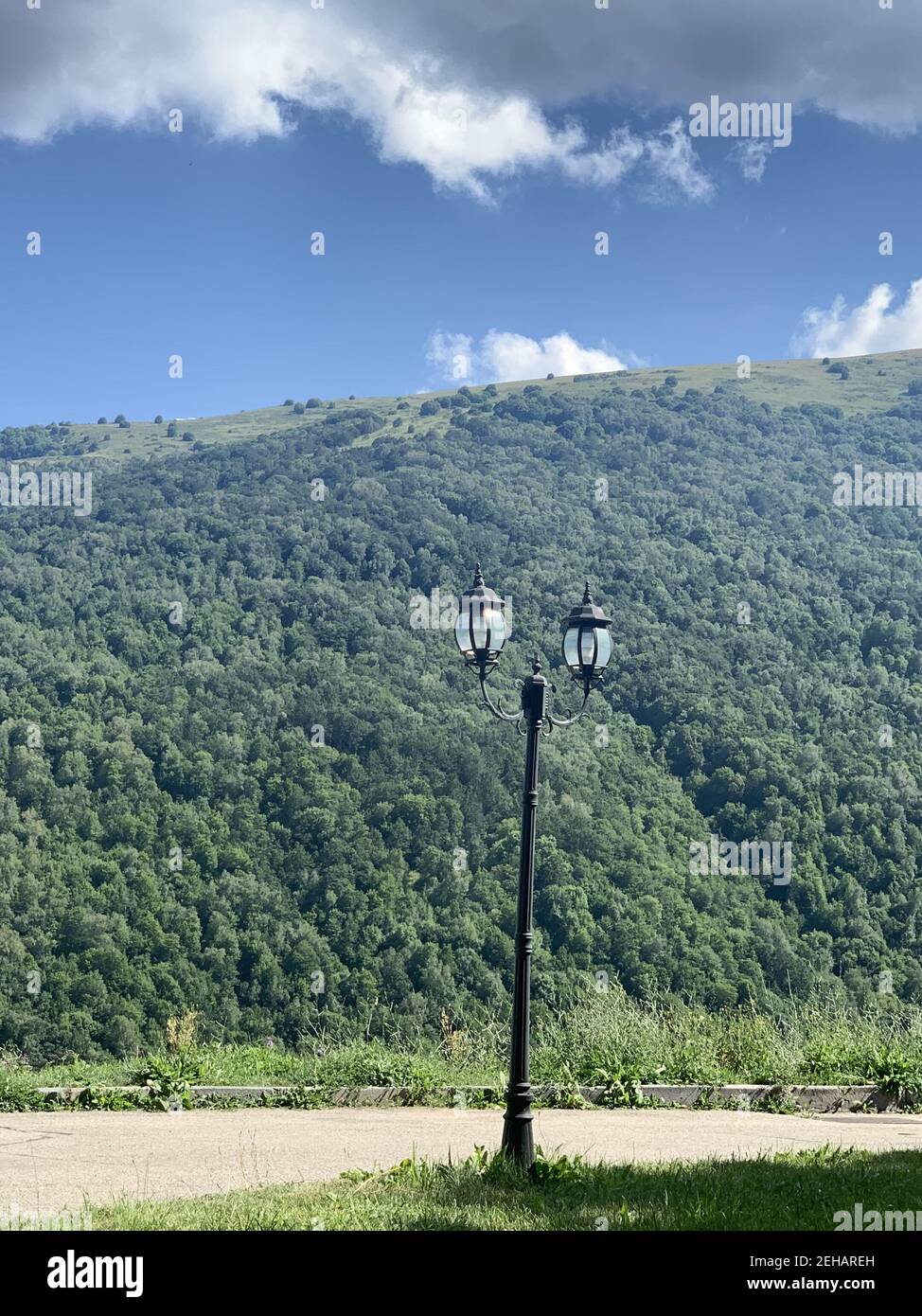 Vertical shot of street lamps on the background of a forested mountain ...