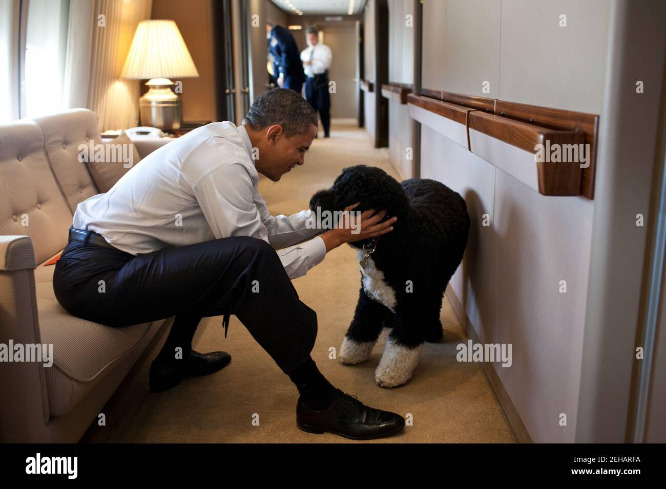 President obama family dog bo hi-res stock photography and images - Alamy